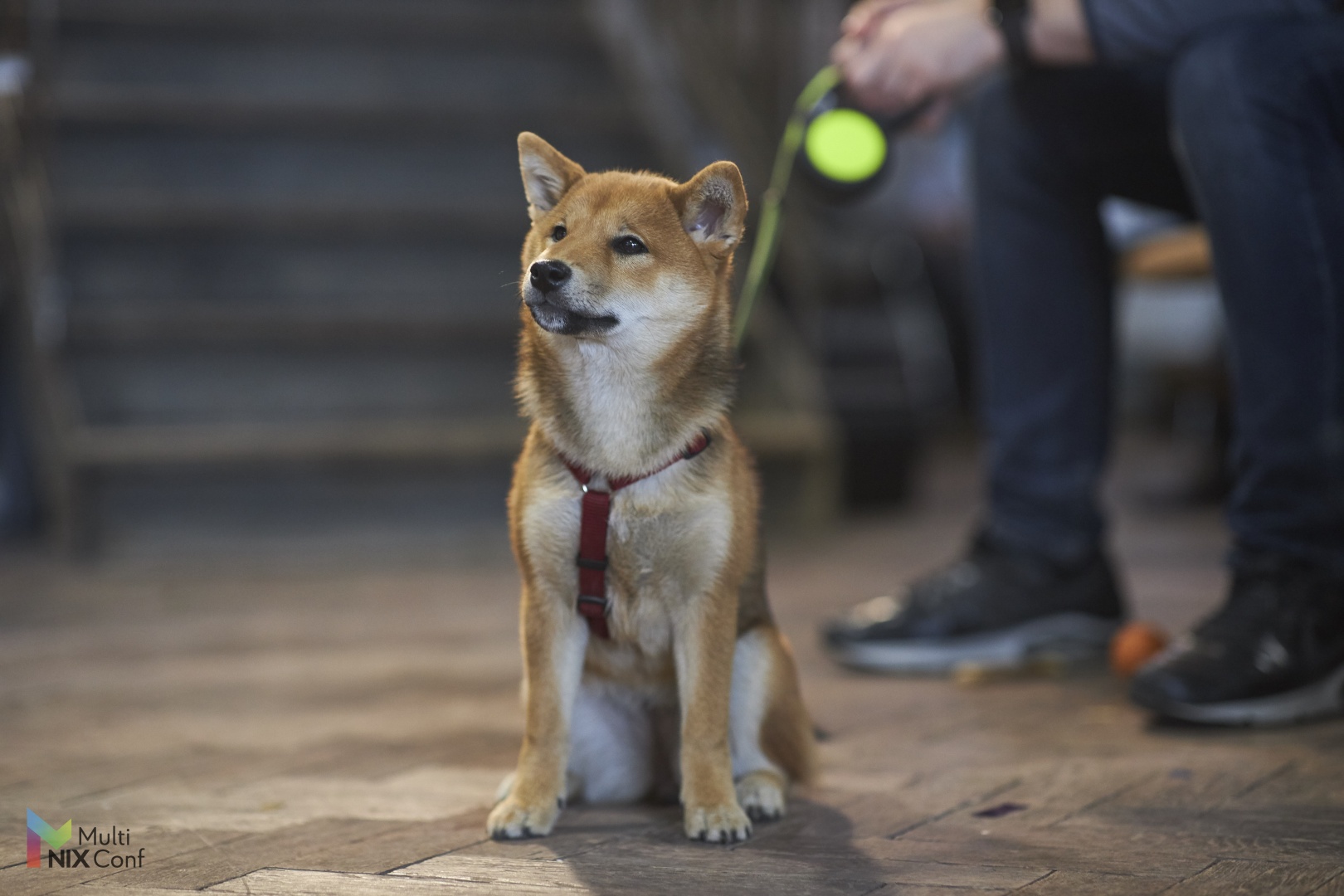 NIXMultiConf #2. Як це було? | NIX