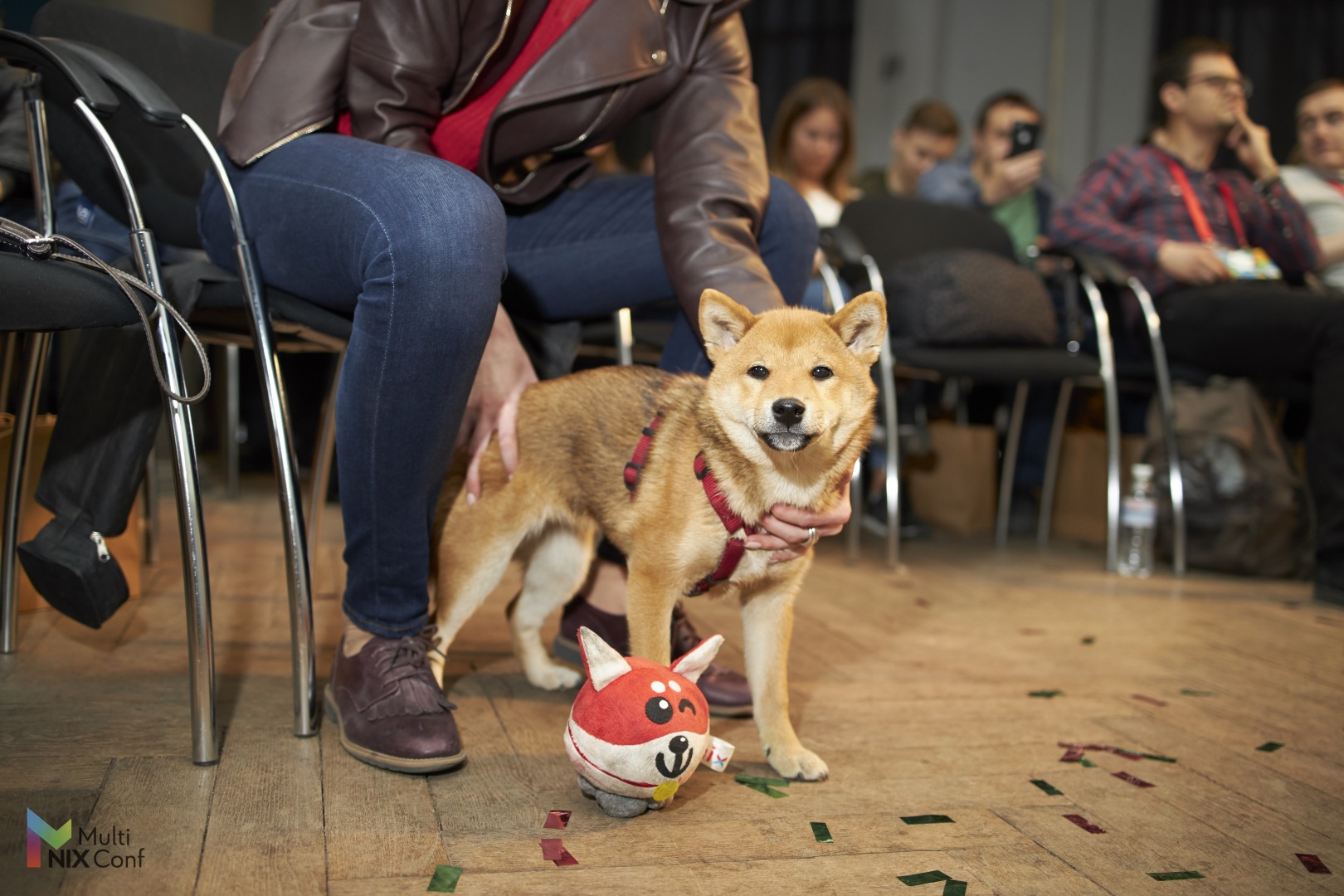 NIXMultiConf #2. Як це було? | NIX