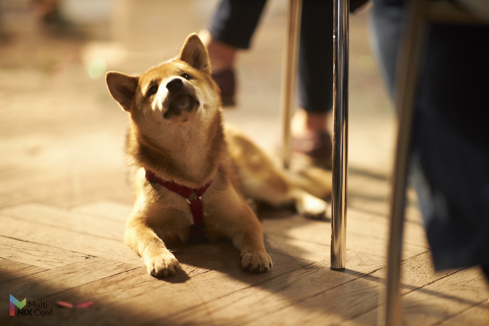 NIXMultiConf #2. Як це було? | NIX