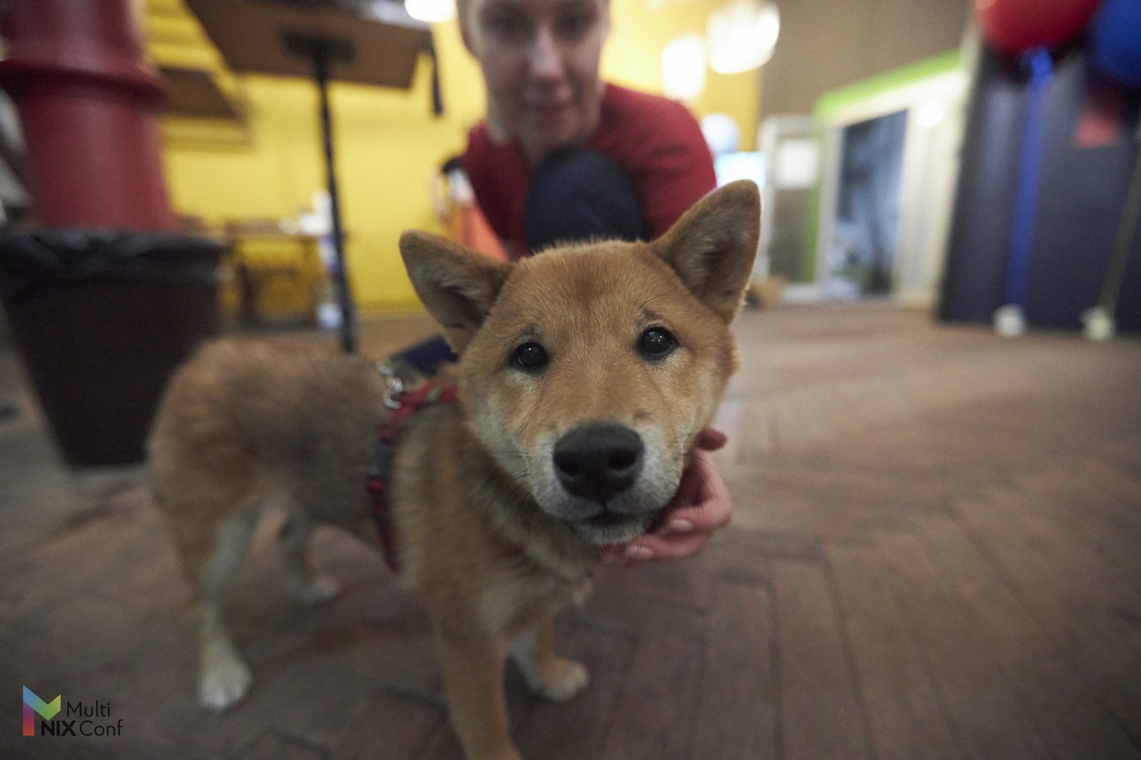 NIXMultiConf #2. Як це було? | NIX