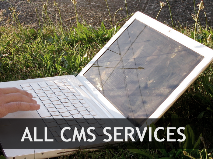 CMS Team - WordPress Development Services | NIX