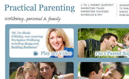 Portfolio: Practical Parenting Web Site | NIX