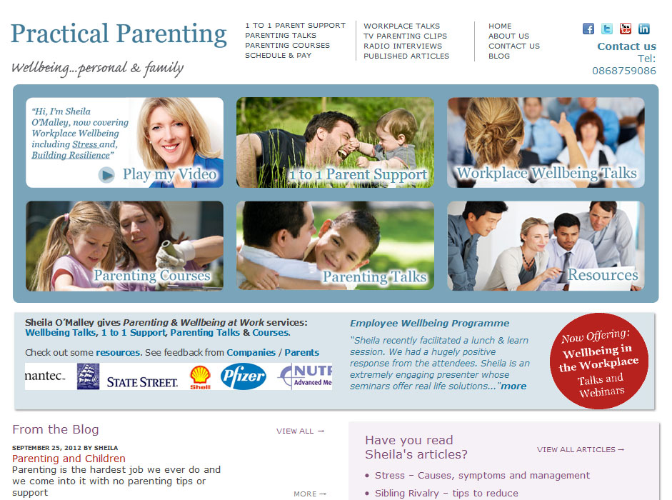 Portfolio: Practical Parenting Web Site | NIX